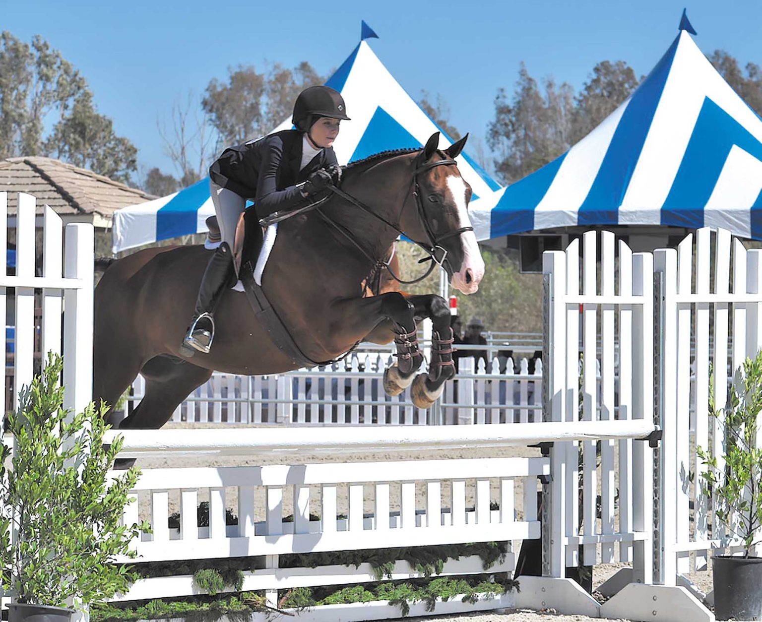 September 2022 Peninsula Event Calendar - Easy Reader & Peninsula Magazine
