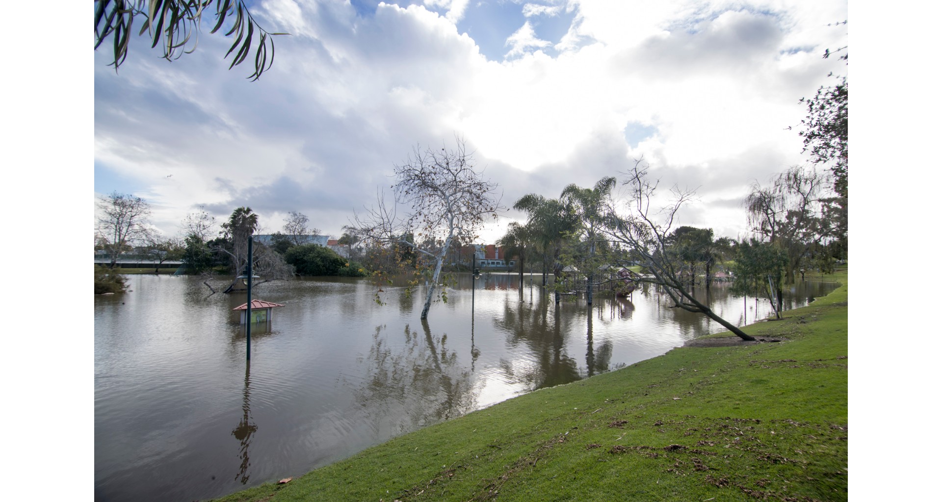Manhattan Beach's Polliwog Park becomes Polliwog Lake